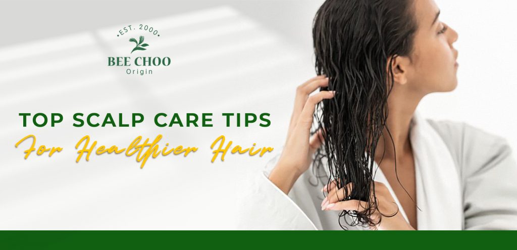 Top scalp care tips for healthier hair - Bee Choo Origin Malaysia