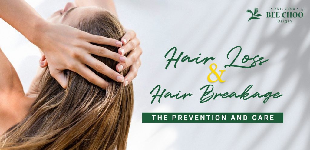 The prevention and care of Hair Loss or & Hair Breakage - Bee Choo ...